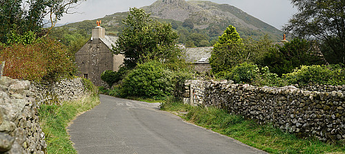 Crime + Investigation | Blog | Detail