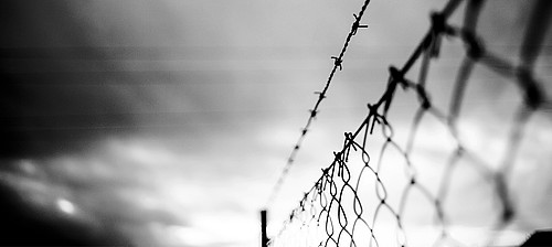 Crime + Investigation | Blog | Detail